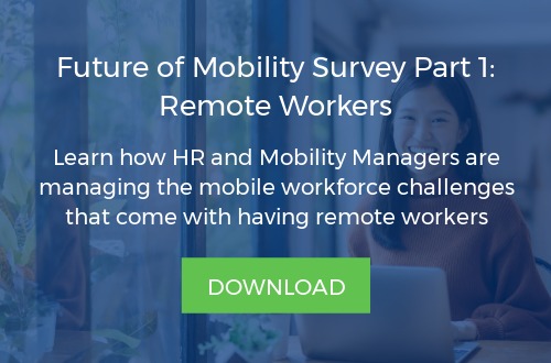 Future of Mobility Survey Part 1: Remote Workers